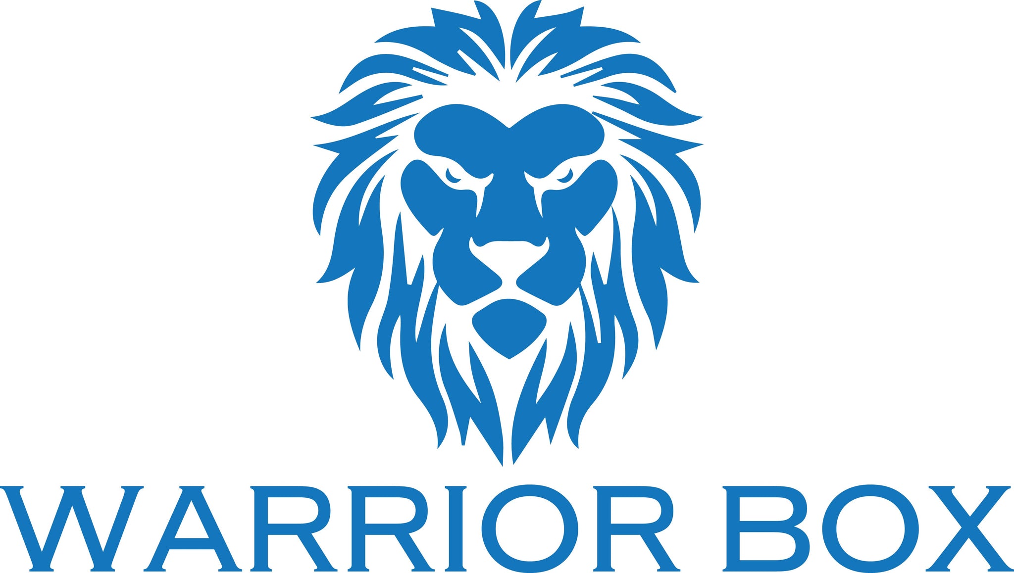 Wellness Gift Boxes and Get Well Gifts - Warrior Box